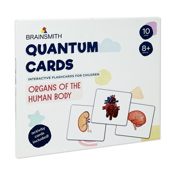 Organs of the Body Flashcards for Kids | Body Parts Flashcards – Brainsmith