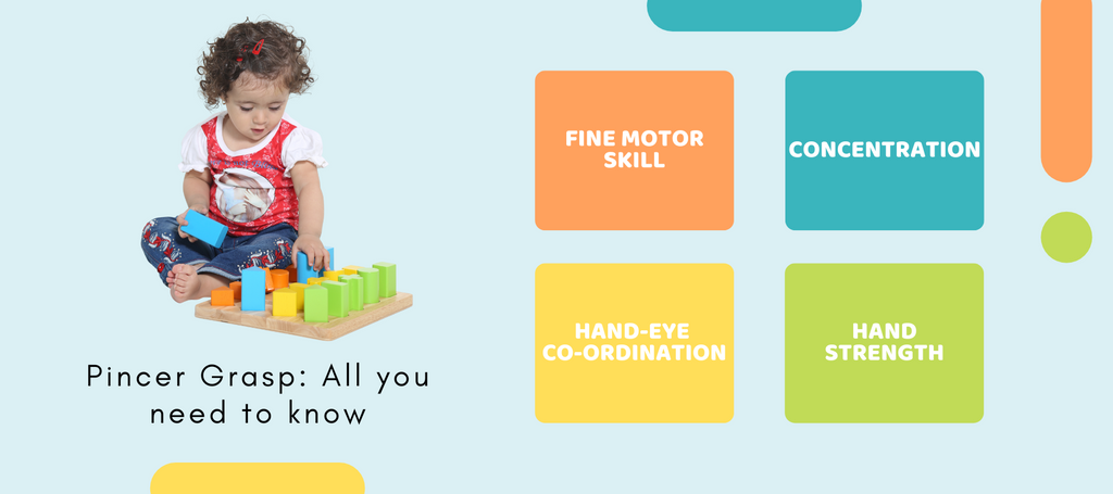 Pincer Grasp: All you need to know – Brainsmith